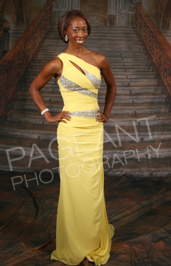 greatercookcounty02 – The Great Pageant Company