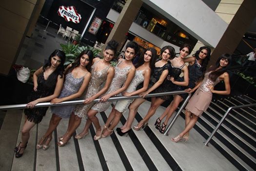 cat – The Great Pageant Company